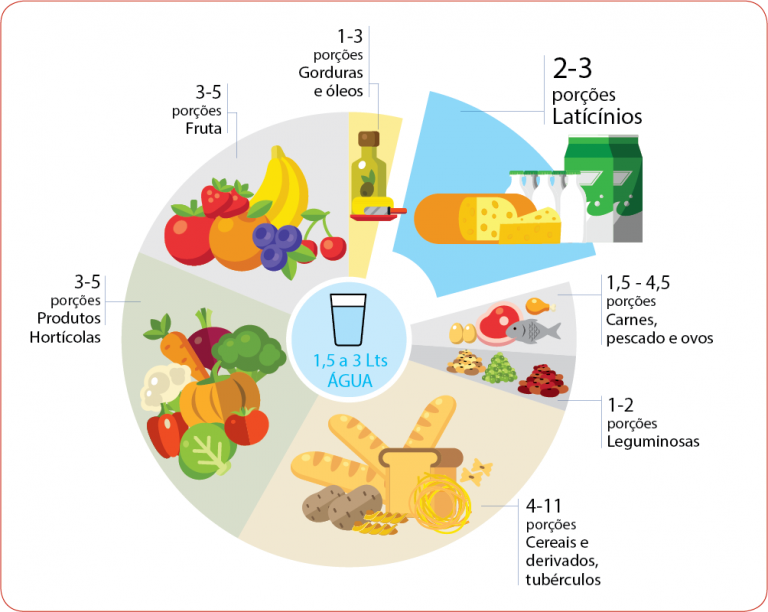 Roda dos alimentos: confira a sua importância - Tudo Dietas