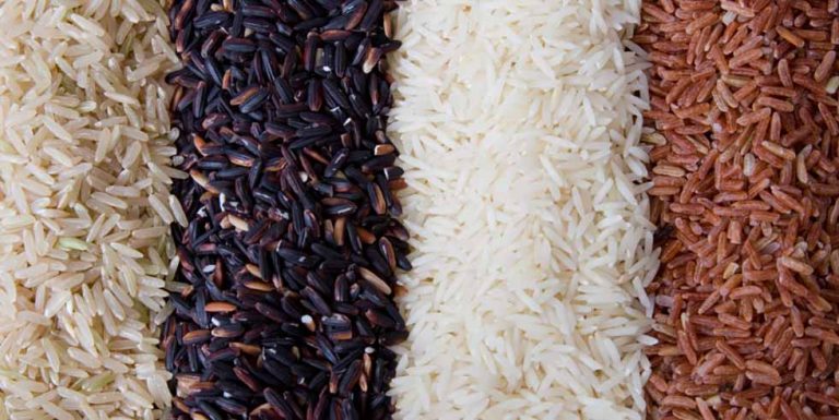 Diferentes tipos de arroz e suas propriedades e benefícios a saúde.